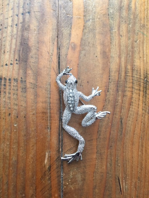 Tree Frog Lapel Pin – GentlemanJoe